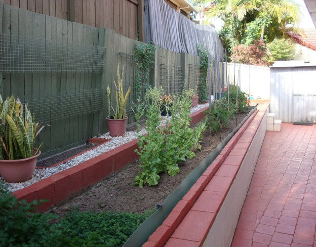 Transformative Bushrock Wall Solution for Lifetime Stability – Gold ...