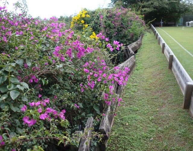 Diamond Concrete Block Retaining Wall Solution for Croquet Lawn in ...